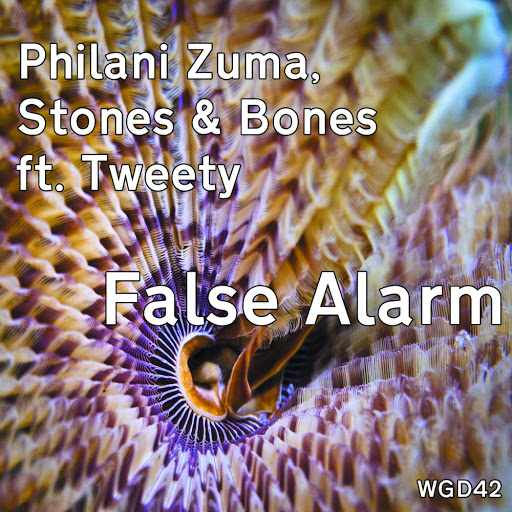 False Alarm (Original Mix) - YouTube Music