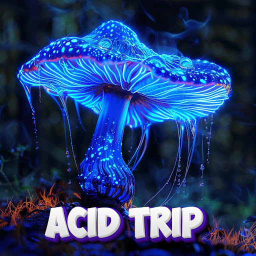Psy Trance Gamer - YouTube Music