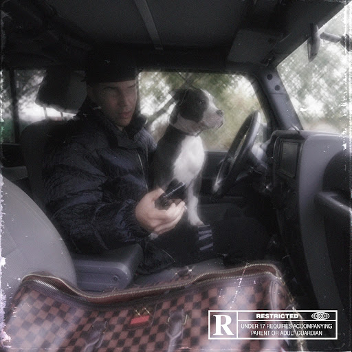 Ameri - YouTube Music