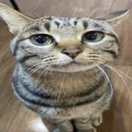 freaky freestyle - YouTube Music