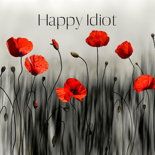 Happy Idiot - YouTube Music