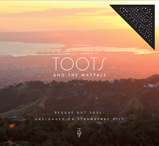 Reggae Got Soul - YouTube Music