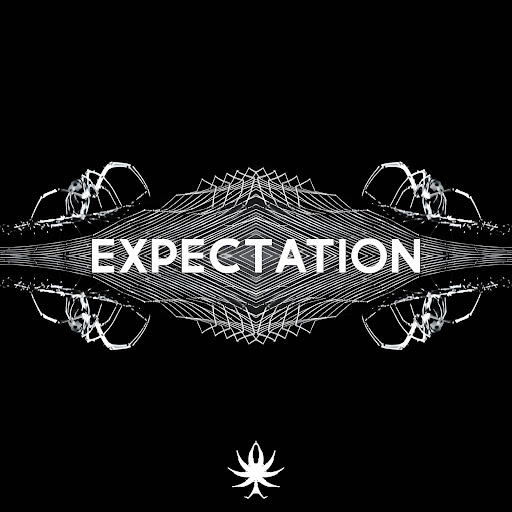 Expectation - YouTube Music