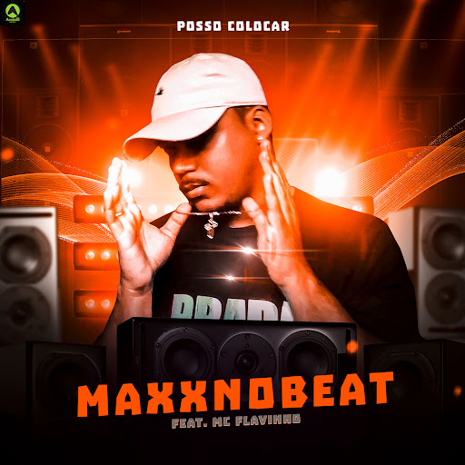 Posso Colocar (feat. Mc Flavinho) - YouTube Music