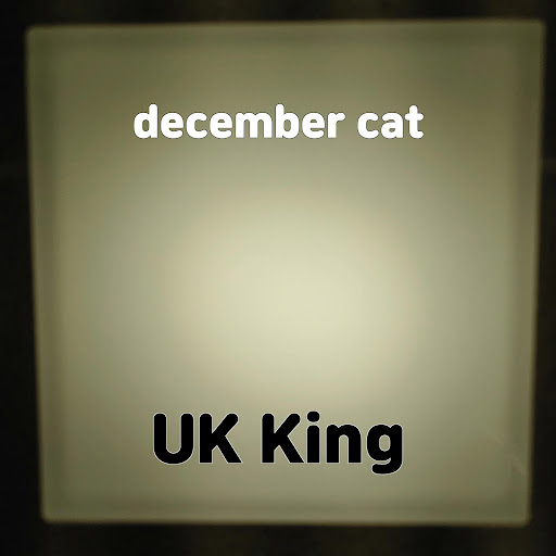 december cat - YouTube Music