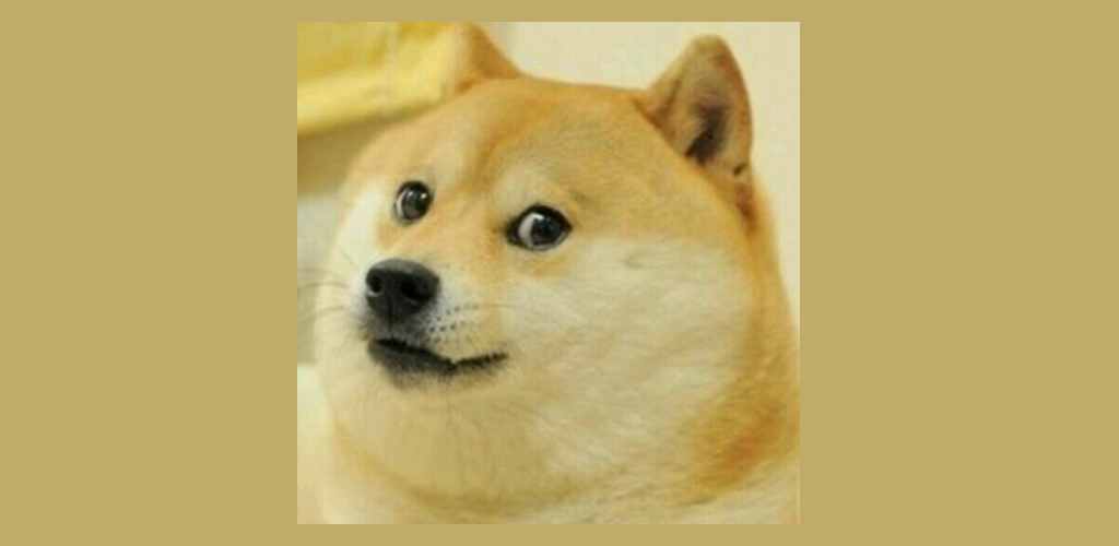 Doge Cube Run - Latest version for Android - Download APK