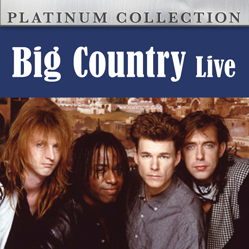 In a Big Country - YouTube Music