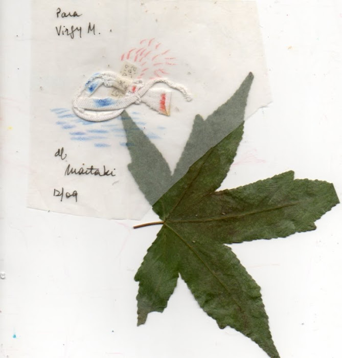Mail Art Fluxus Virginia Milici Gian Paolo Terrone