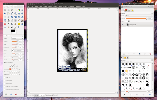 GIMP Painter And GIMP Paint Studio Transform GIMP Into The Ultimate ...