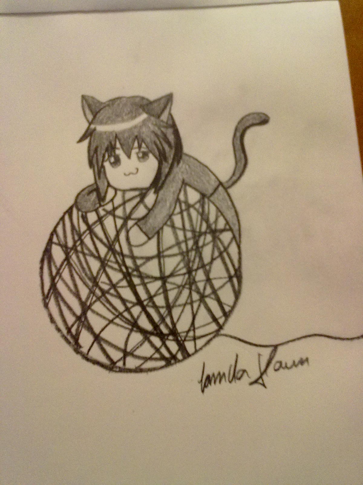 Hauss Designer Desenho A Mão Livre