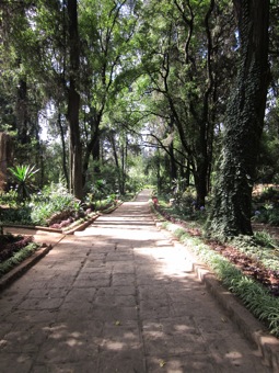 A Guide to the Green Spaces of Addis Ababa | Find parks and more in the ...