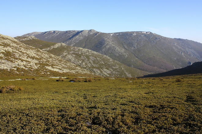 Always too Low: Ruta circular por la Sierra del Ocejón: Ocejón, Campo y ...
