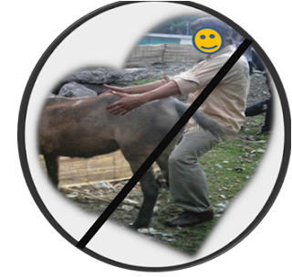 No A La Zoofilia Profesor Zoofilico