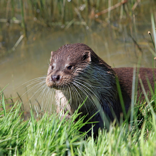 Waylon Poop Fart Explosion - YouTube Music