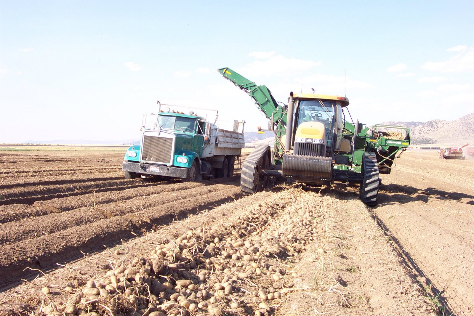 Jorgensen Farms Bancroft Idaho 2010 Potato Harvest
