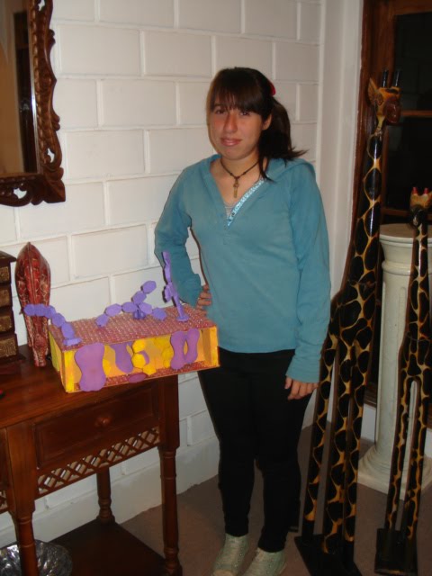 Biología Maqueta Membrana Plasmática Photos