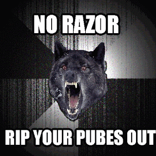 Nate Hammer Know Your Meme Insanity Wolf