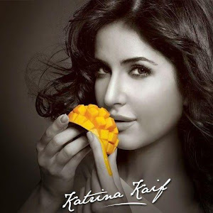 Katrina Kaif HD Wallpapers – App Personalization for Android | Free Download
