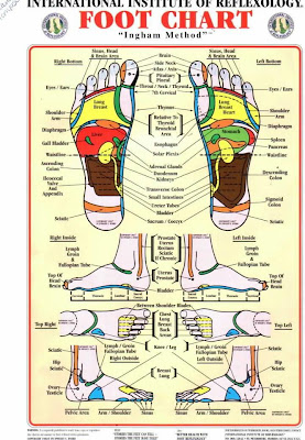 Refleksologi Dan Anda Langkah Langkah Kerja