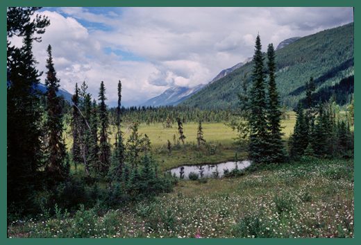 Bicycling Yellowhead Pass