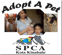 SPCA KK ADOPTION PROGRAMME