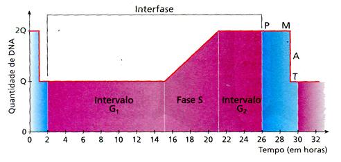 Viver O Mundo Estabilidade Genética