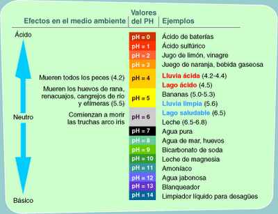 Experimento Indicador De Repollo Morado Science Magic Blog Para