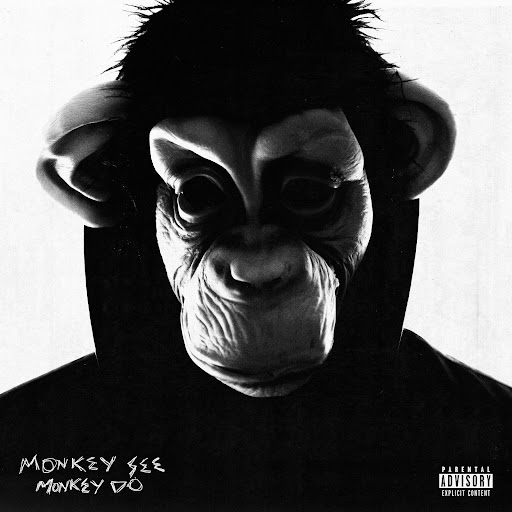 Monkey See Monkey Do - YouTube Music