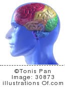 Brain Integration Therapy