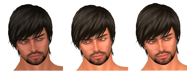 Second Life Freeze Frame