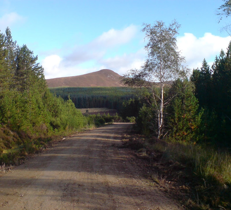 Walk Report - Torr Achilty and a pedal round Easter Ross (Sept 2009 ...
