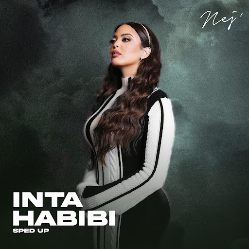 Inta habibi (Sped up) - YouTube Music