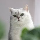 Python PyQt5 學習筆記 - HackMD