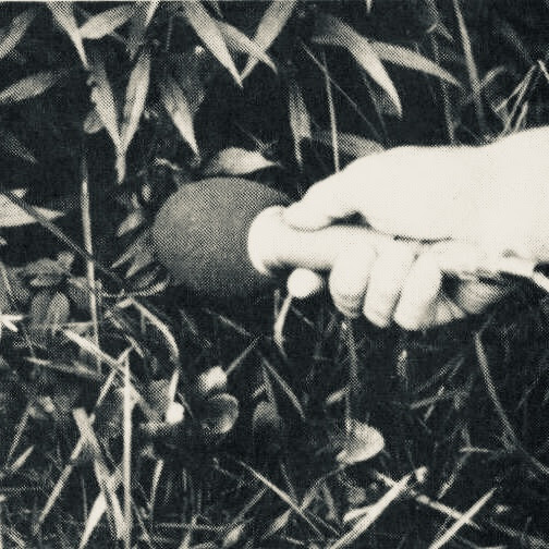 Antonio Hdez. Verges | ArchDaily