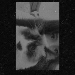 Paola Condori | ArchDaily