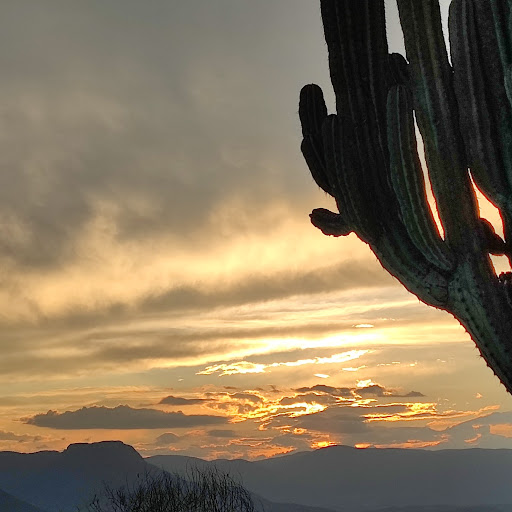 Omar Alejandro Ramírez | ArchDaily