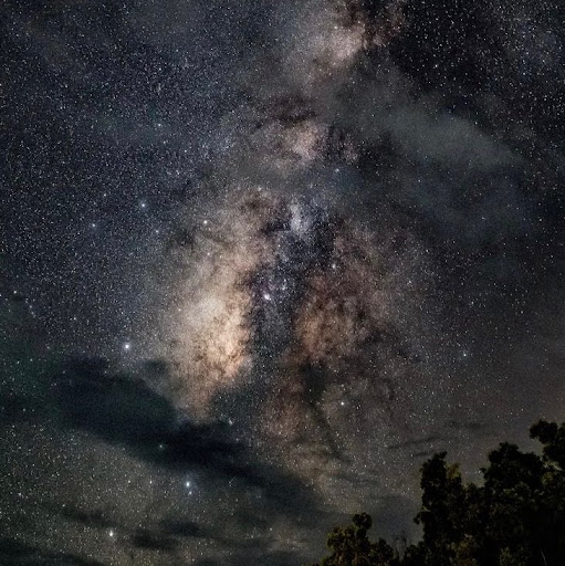 srishti reddy | ArchDaily