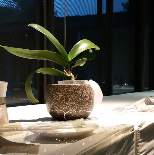 Sam Chiu 的檔案 - Hahow 好學校