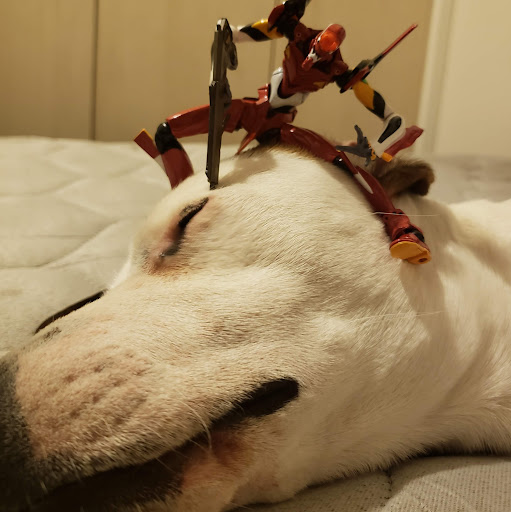 lucas avila lobos | ArchDaily