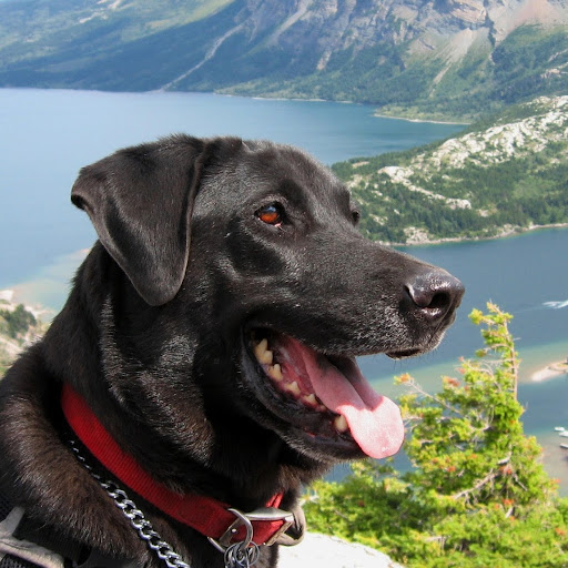 Drew Sheneman for May 27, 2021 - GoComics