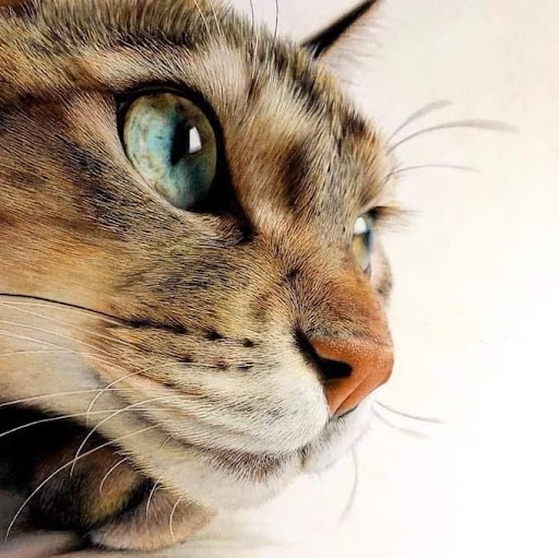 ZhiHao Lin 的檔案 - Hahow 好學校