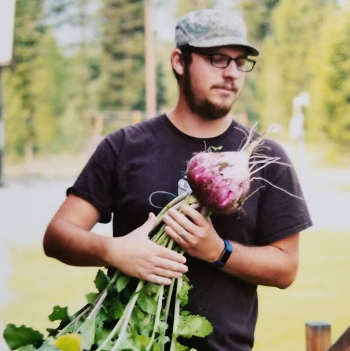 Birds of Montana | Flashcards