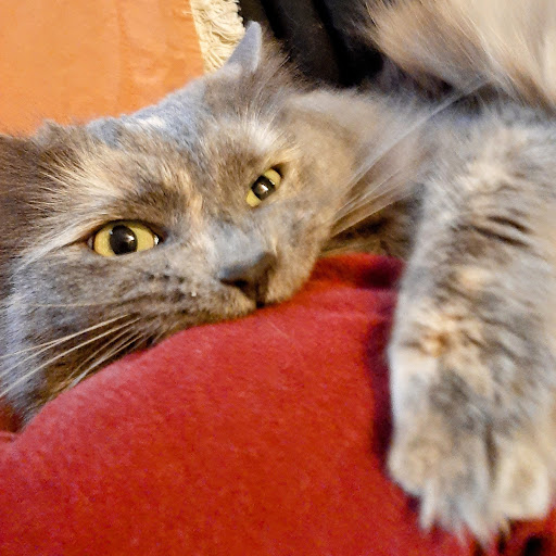 Ways with Words: Investigating the Vocabulary of Mindfulness | A Little ...