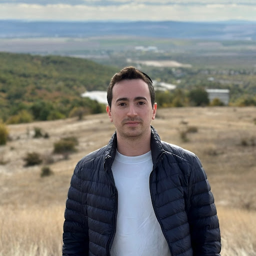 Michael Fried - Machine Learning Portfolio in Weights & Biases