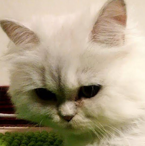 開發環境建置 - HackMD