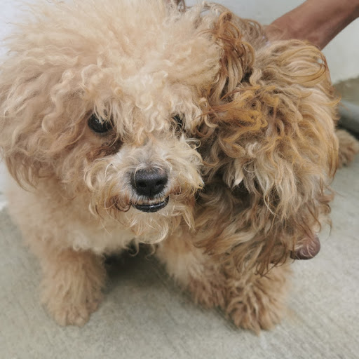 Nutricion Michelle Requena (Autoguardado) - LICEO DOCTOR RICARDO ...