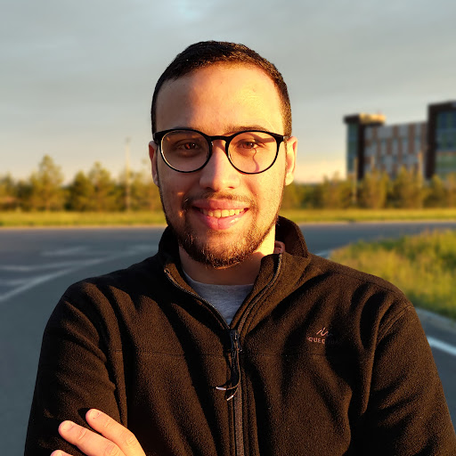 Hany Hamed - Machine Learning Portfolio in Weights & Biases