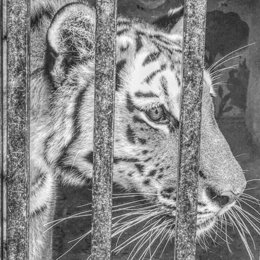 Reem Al-faifi | ArchDaily