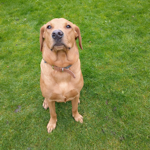 Rockhopper (RKH) Share Chat - Investing.com UK