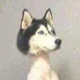 Kawasan Hutan Lindung | MindMeister Mind map